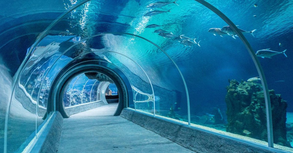 Relaksacyjny luksus, czyli wieczór VIP w Orientarium Zoo Łódź. Tego ...