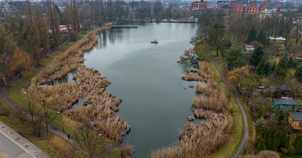 Łódź odzyskuje rzeki! Jasień, Ner i Łódka przejdą prawdziwą metamorfozę ...