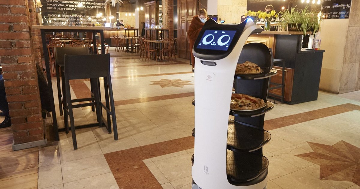 Restauracje w Łodzi. Mechaniczny kot - kelner serwuje pizzę w ...