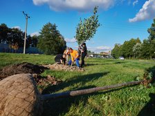 Nawet 2500 nowych drzew w Łodzi! Zaczynają się jesienne nasadzenia: ŁÓDŹ.PL
