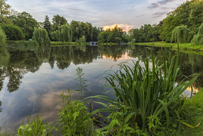 Najstarsze parki w Łodzi mają ponad sto lat! Który był pierwszy ...