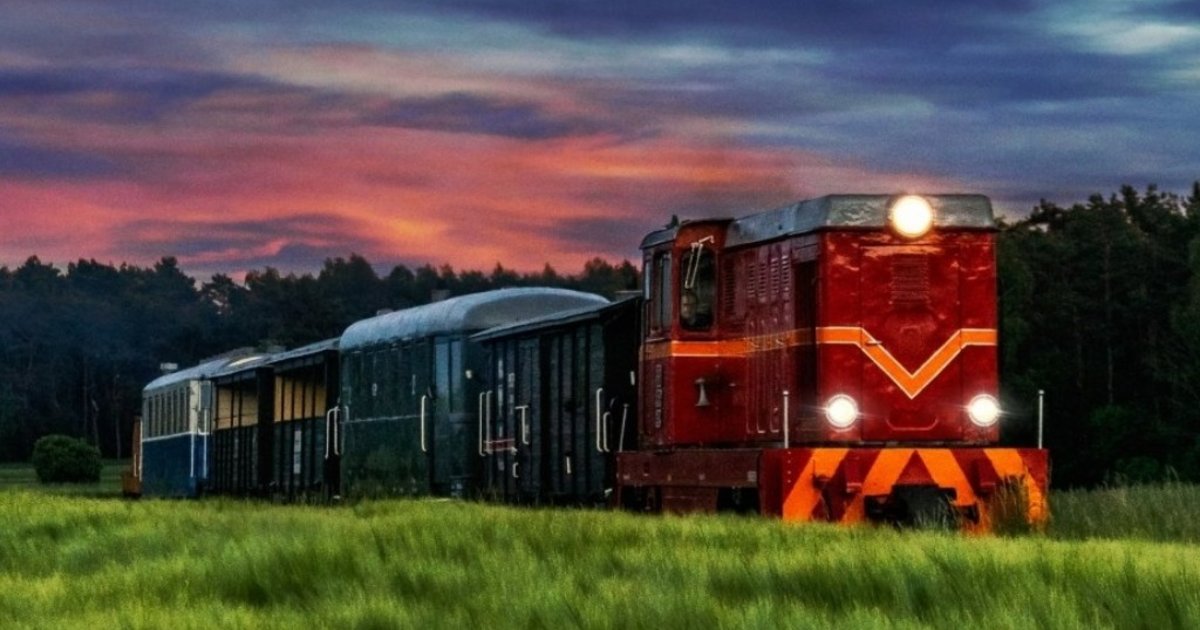 Kolej Rogowska na majówkę 2025. Skorzystaj ze specjalnej oferty ŁKA i ...